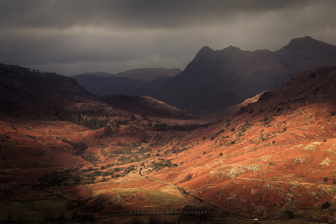 La nature tranquille de Lee Acaster - elityst